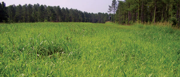 Food Plot Seeder - Brillion, Farm Equipment, Seeding & Planting - Landoll
